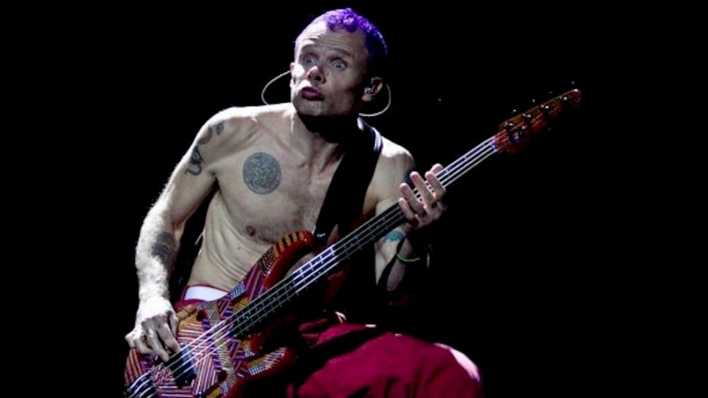 TMJ | Música, mercado musical, streaming, vinil, turnês, podcasts ...